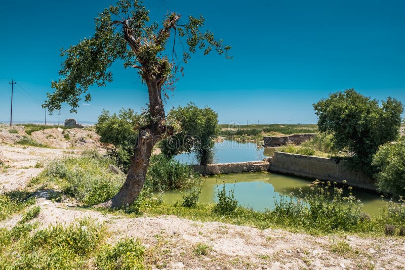 Iraqi Landscape in Summer stock photo. Image of outdoor - 70267240