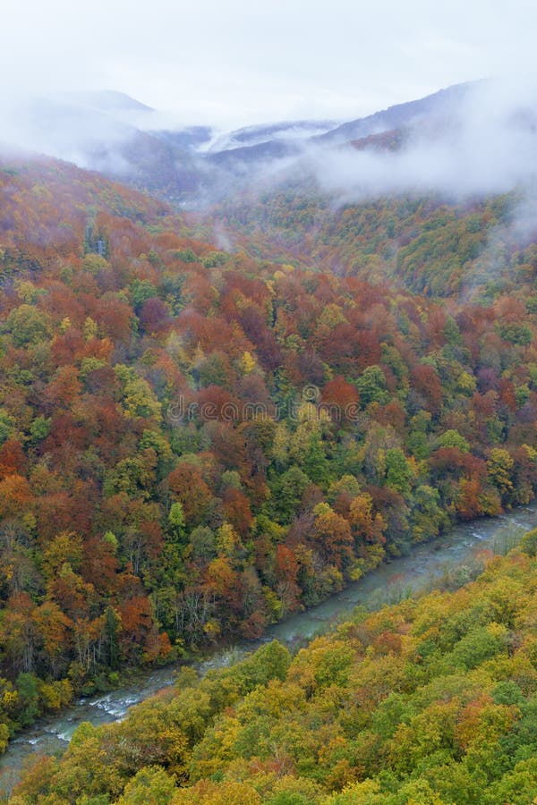 Irati River. Forests in Autumn by the Irati River from Ariztoki, Aezkoa ...