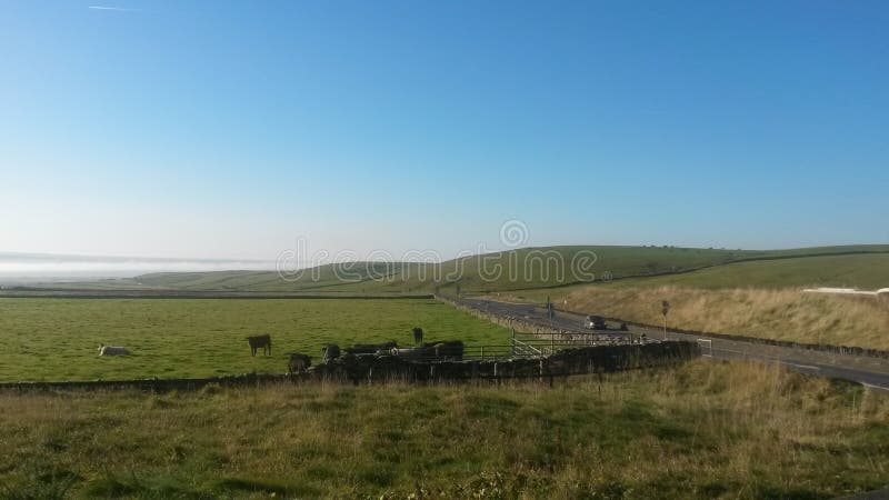 Ireland Fields stock photo. Image of garden, fields, stone - 51493728