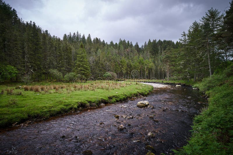 Ireland Highland River, Waterfall, Tree Stock Image - Image of stone ...