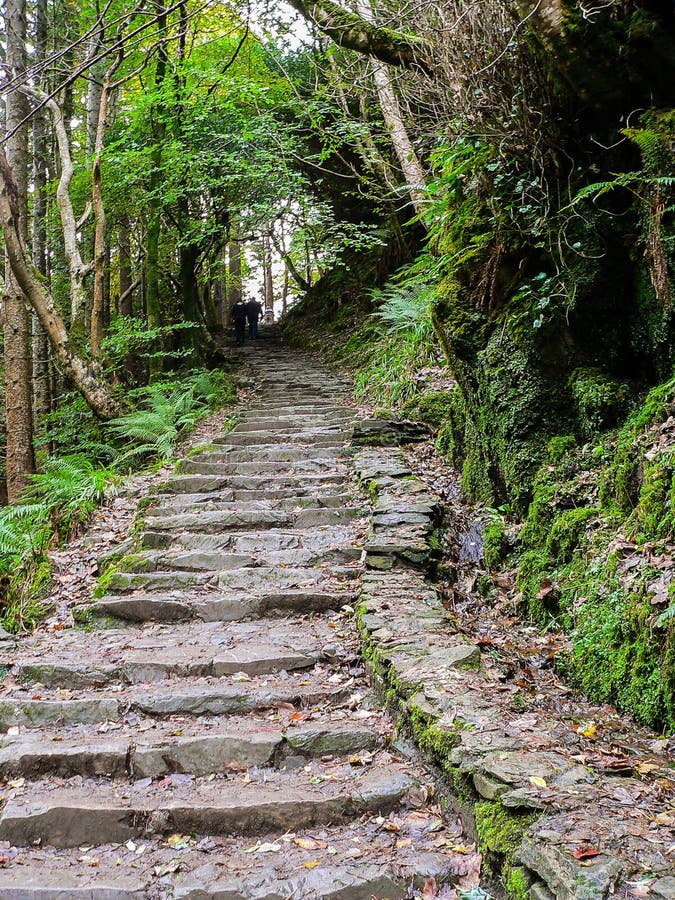 Ireland. Killarney National Park Stock Image - Image of orientering ...