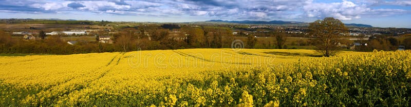 Ireland landscape stock photo. Image of ireland, springtime - 26619516