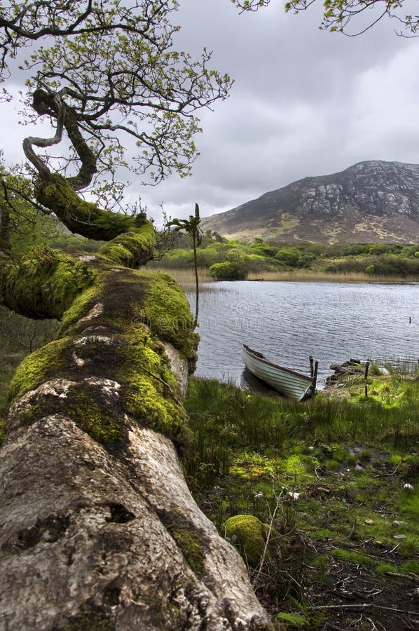Ireland landscape stock image. Image of ocean, travel - 31502773
