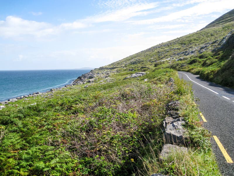 Ireland stock photo. Image of moor, landscape, season - 74467284