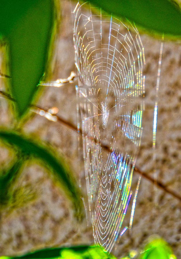 Iridescent Spider Web is Finished Stock Photo - Image of reflective ...