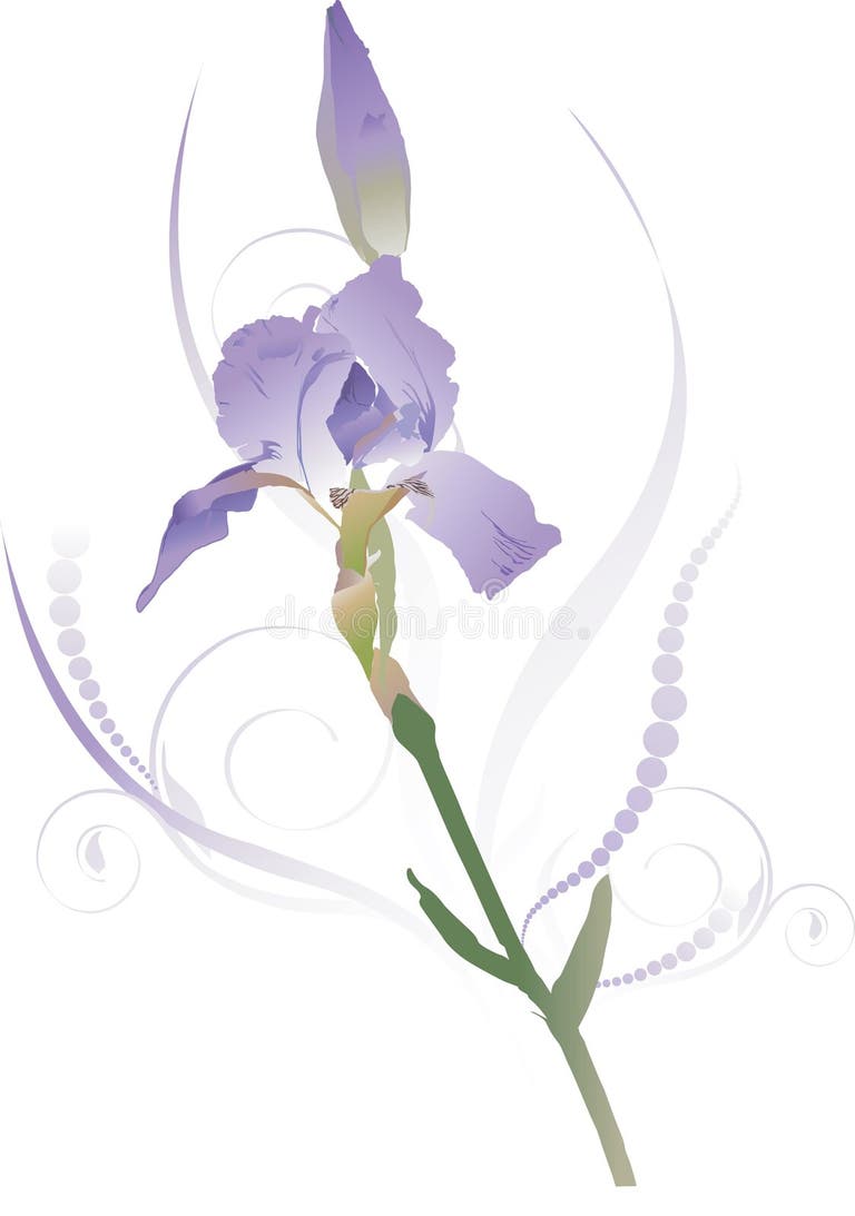 Iris Flower Simple Stock Illustrations – 2,241 Iris Flower Simple Stock ...