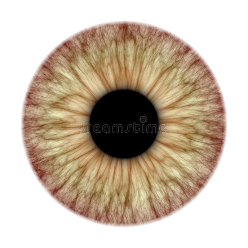 50+ Iris texture Free Stock Photos - StockFreeImages