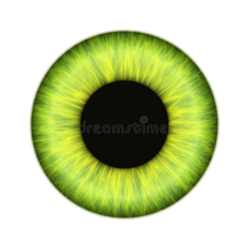 50+ Iris texture Free Stock Photos - StockFreeImages