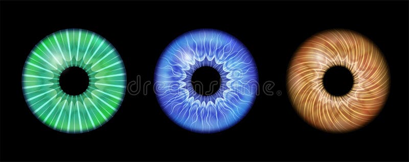 Iris poster stock vector. Illustration of eyeball, eyesight - 323228917