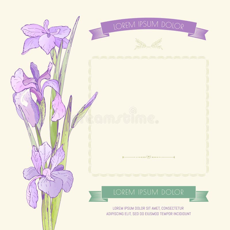 Iris card stock vector. Illustration of green, watercolor - 77016961