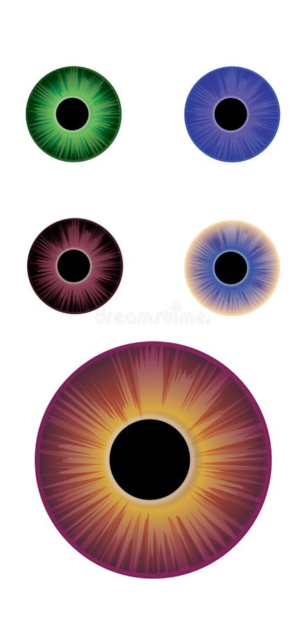 Iris stock vector. Illustration of white, iris, illustrated - 40504068