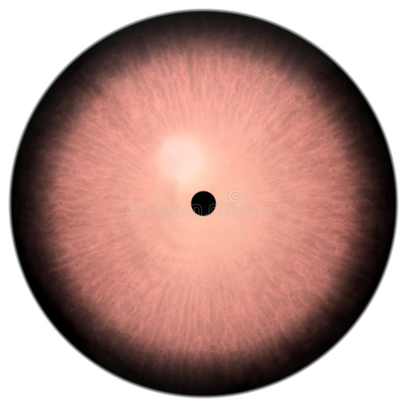 Iris del ojo generado stock de ilustración. Ilustración de brillo ...