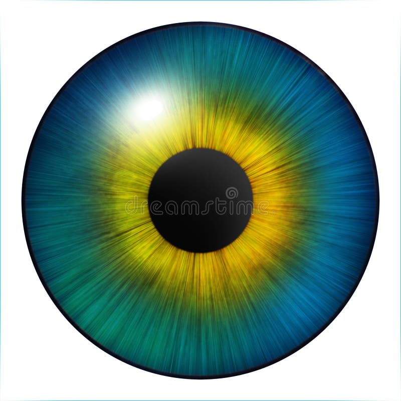 Iris of the Eye. Human Iris. Eye Illustration. Blue Eye. Creative ...