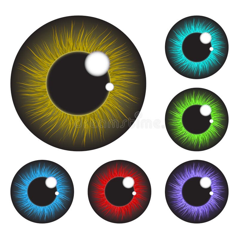 Iris Eye Realistic Vector Set Design Isolated on White Backgro Stock ...