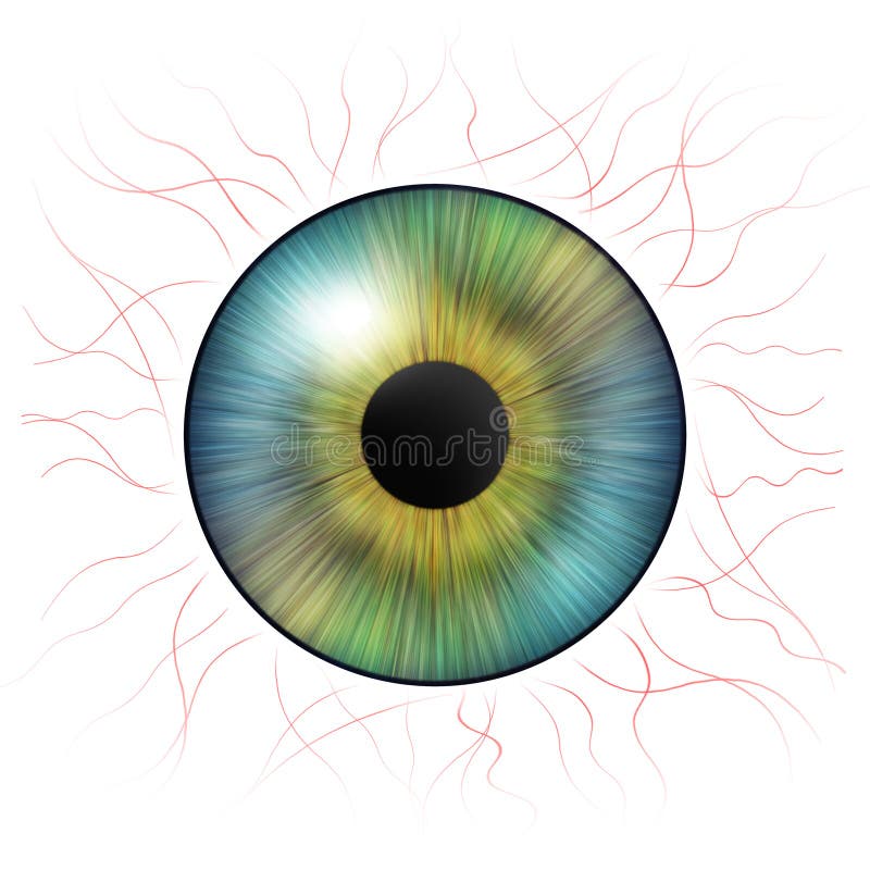 Iris Eyes. Human Iris with Blood Veins. Eye Illustration. Creative ...