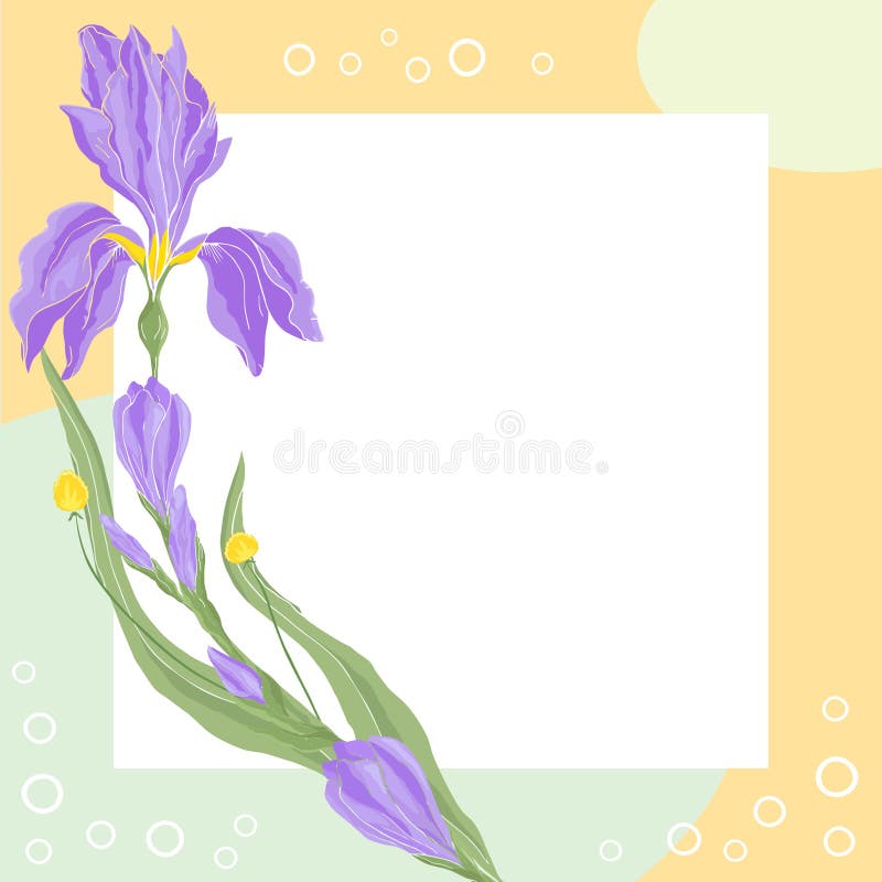 Iris Floral Template. Square Frame with Hand Drawn Flower Stock Vector ...