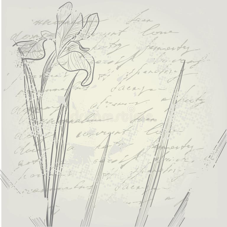 Iris Flower Banner Card Stock Illustrations – 1,290 Iris Flower Banner ...