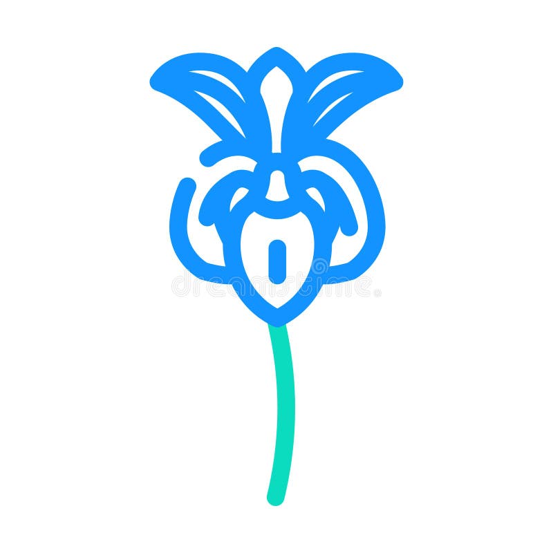 Iris Flower Simple Stock Illustrations – 571 Iris Flower Simple Stock ...
