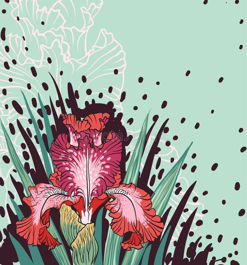Designs of iris flowers stock vector. Illustration of design - 34677472