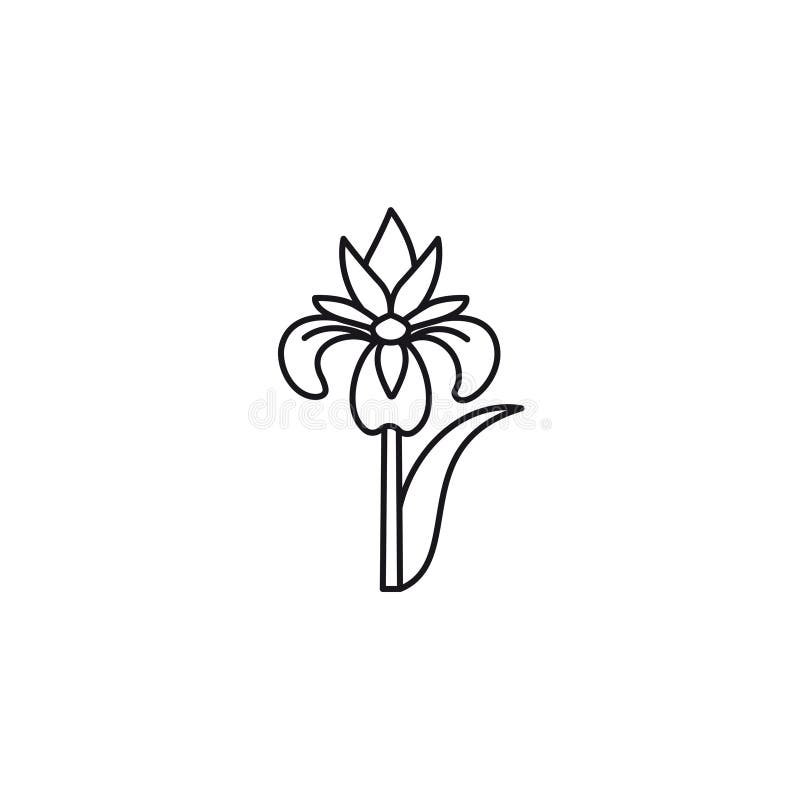 Iris Flower Vector Line Icon Stock Vector - Illustration of vector ...