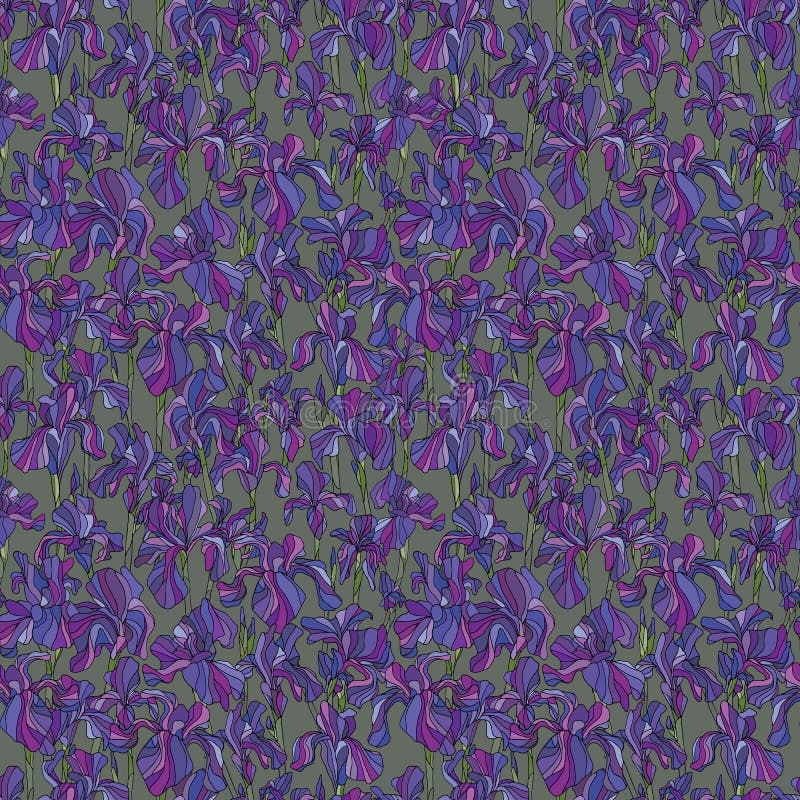 Iris Flowers Hand Drawn Vector Seamless Pattern. Nature Petals ...