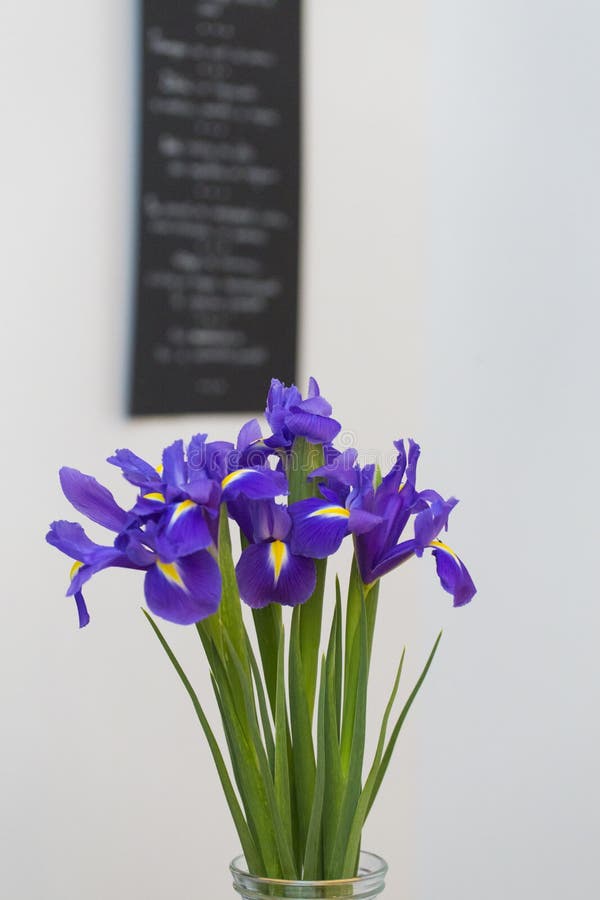 Iris Flowers in a Pot and a Painting on the Background Stock Image ...