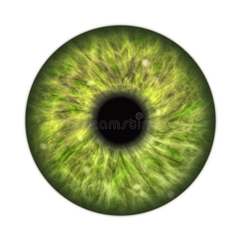 Iris Humano Marrón Verde Oscuro Stock de ilustración - Ilustración de ...