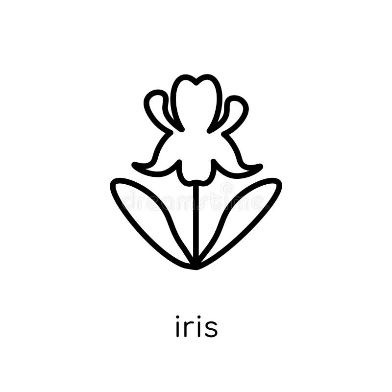 Iris Icon. Trendy Modern Flat Linear Vector Iris Icon on White B Stock ...