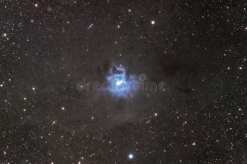 Iris Nebulae Ngc 6930 Nebulosa Imagen de archivo - Imagen de ...