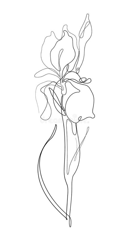Flower Iris Pencil Sketch Stock Illustrations – 94 Flower Iris Pencil ...