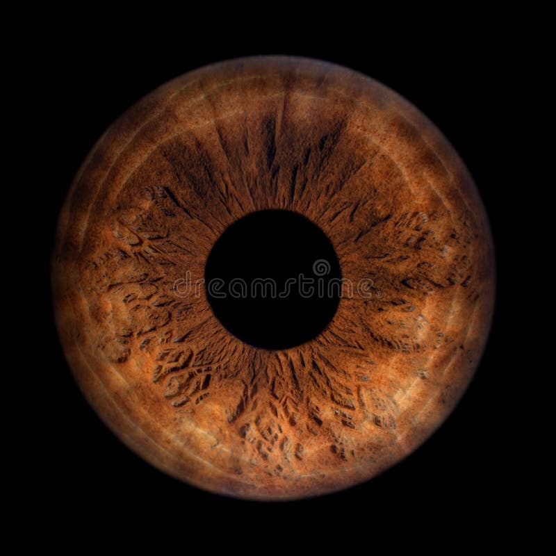 Iris Photography - Unique Singularity Stock Image - Image of darkness ...