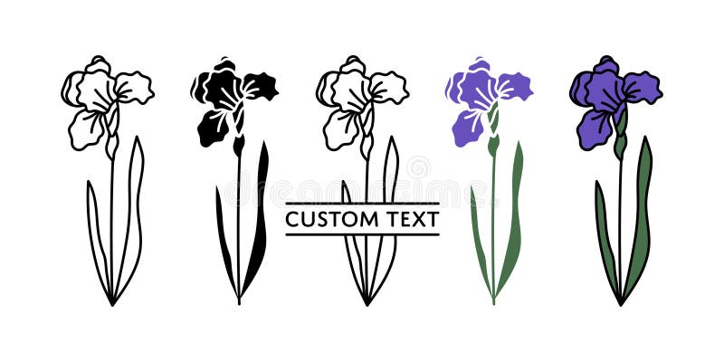 Iris Split Name Frame Outline Silhouette February Birth Month Flower ...