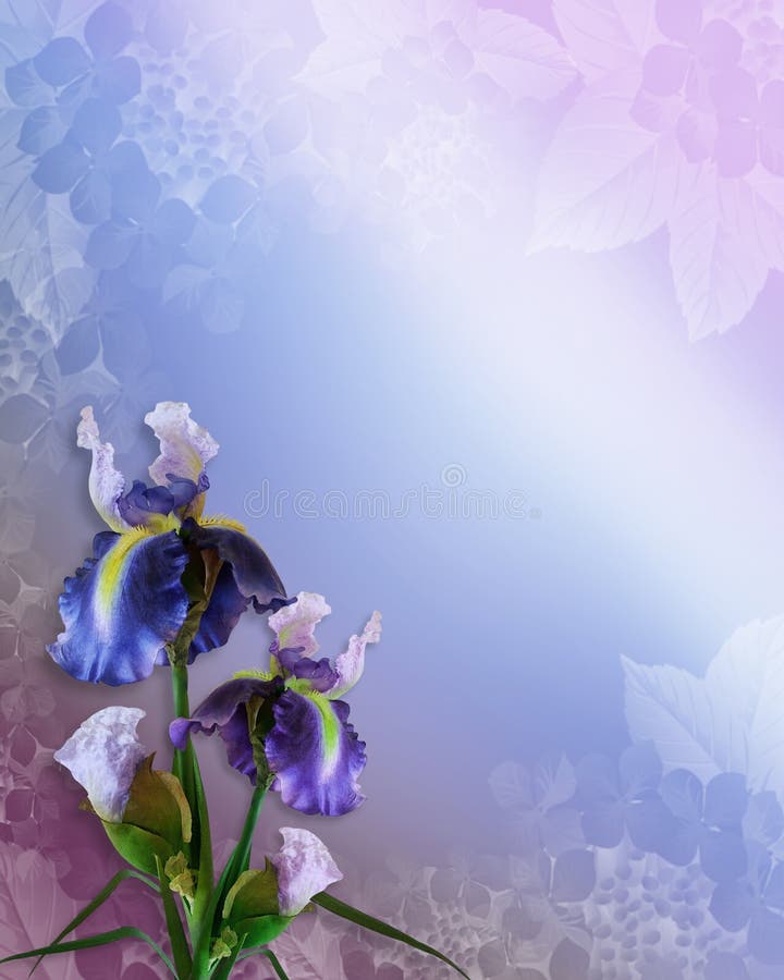 Irises Invitation Floral Border Stock Illustration - Illustration of ...