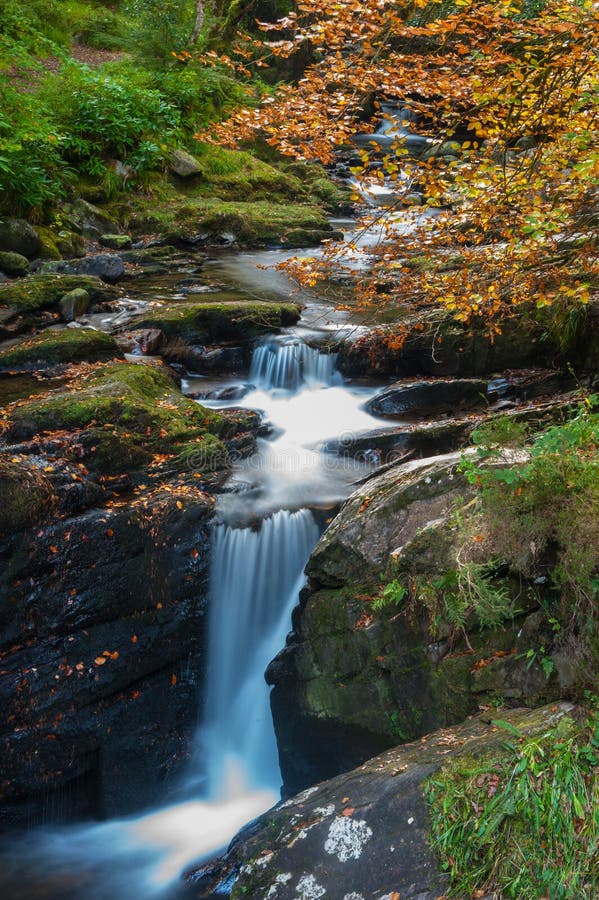 Autumn In Killarney National Park Stock Photo - Image of rocks, cascade ...