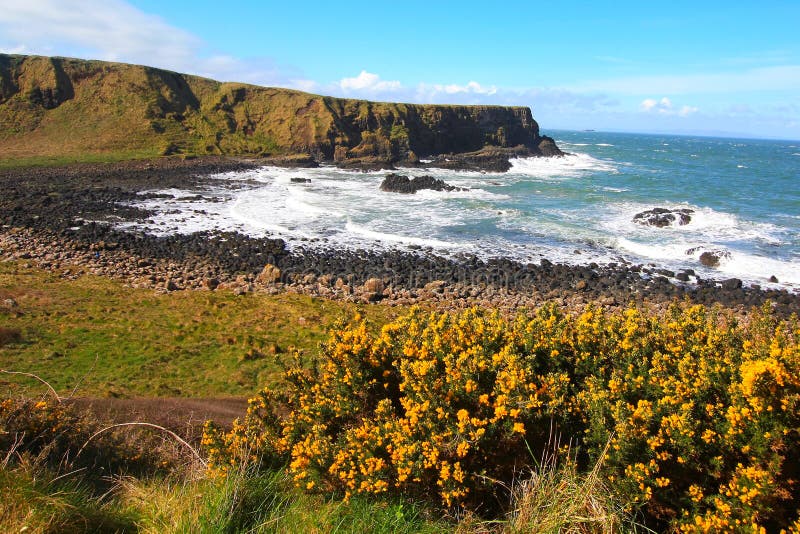 Irish Coastline in Springtime Stock Photo - Image of springtime, cliffs ...