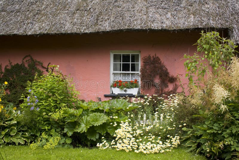 Irish cottage pink stock photo. Image of house, farmhouse - 2947032