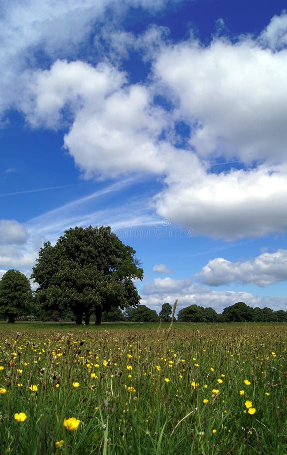 On the Irish countryside stock photo. Image of kildare - 14533268