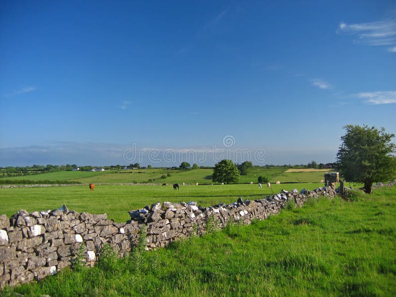 Irish countryside-summer stock image. Image of cultivate - 538789