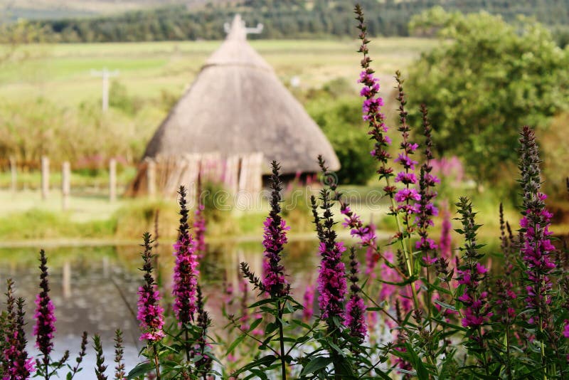 Irish Crannog stock photo. Image of field, green, crannog - 72600438