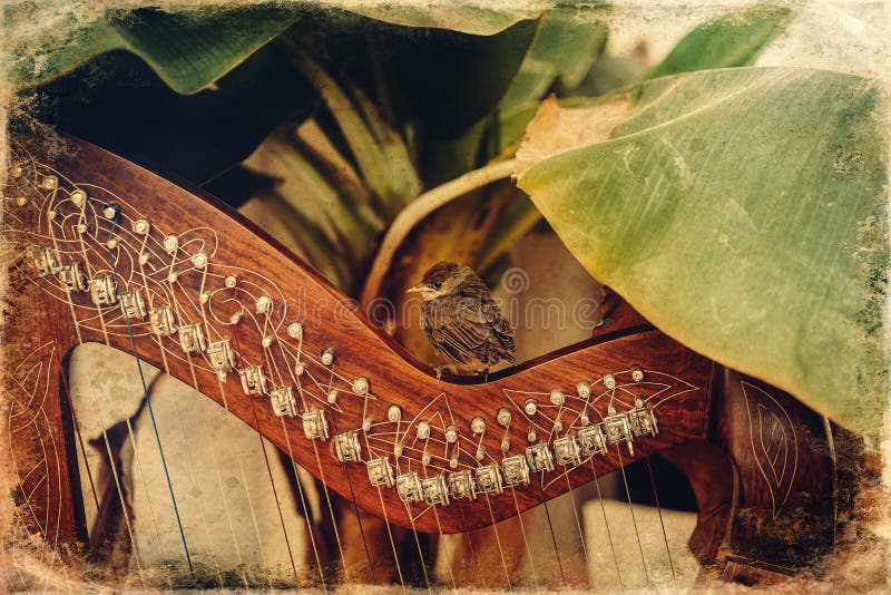 Irish Harp and Smal Bird. Instrument Closeup. Stock Image - Image of ...