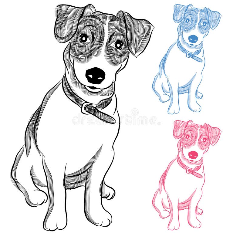 Jack Russell Drawing Stock Illustrations – 1,749 Jack Russell Drawing ...