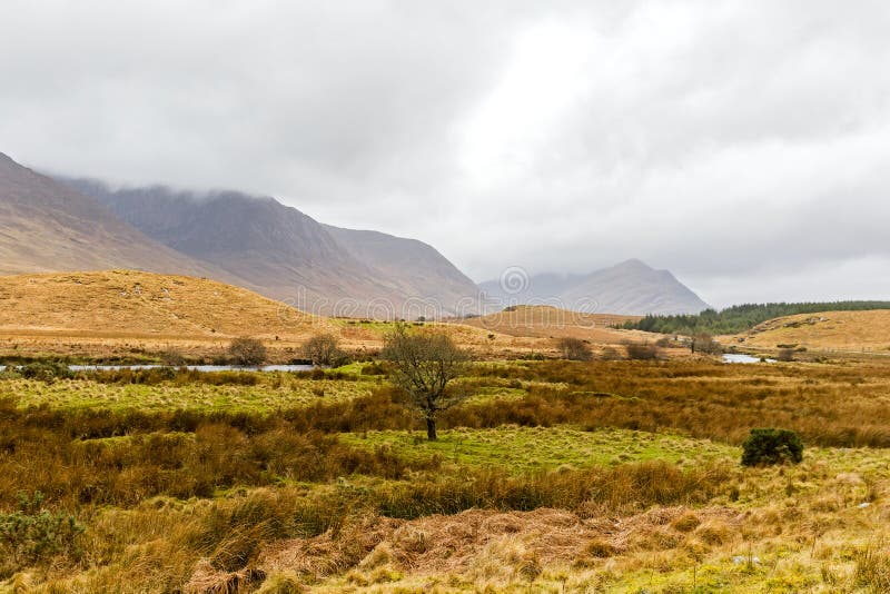 Irish landscape in winter stock image. Image of grass - 67733365