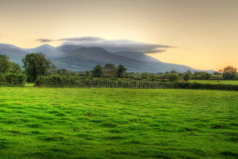 Irish meadow at sunset stock photo. Image of grass, postcard - 21751070