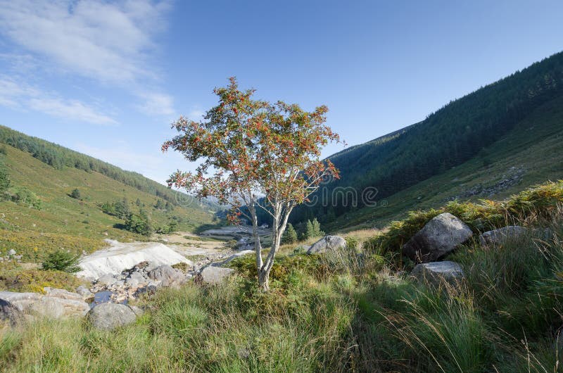Irish mountain landscape stock image. Image of kevin - 35550701