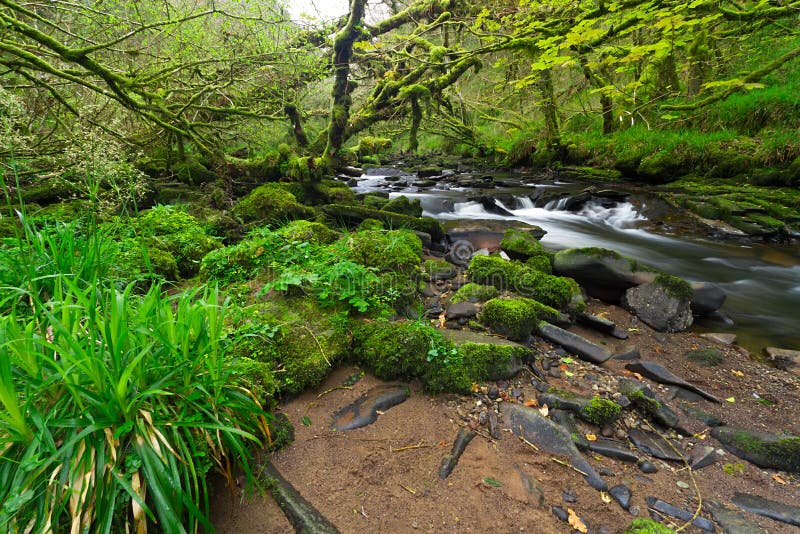 Irish Nature Scenery with Creek Stock Image - Image of cascade, cloud ...