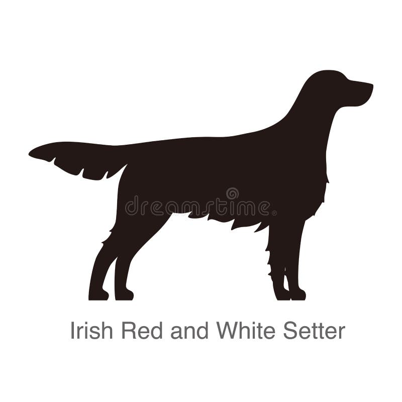 Irish Setter Dog Cartoon Stock Illustrations – 329 Irish Setter Dog ...