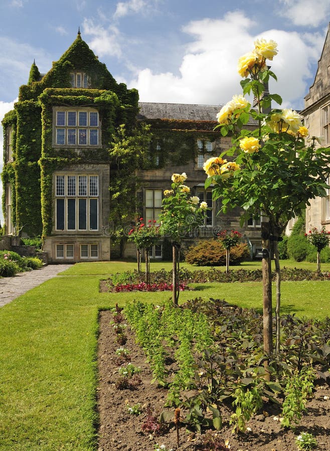 Irish rose garden stock photo. Image of flower, rose - 14865216