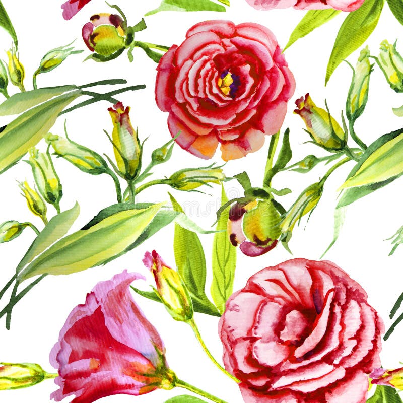 Irish rose watercolor, bud stock illustration. Illustration of rose ...
