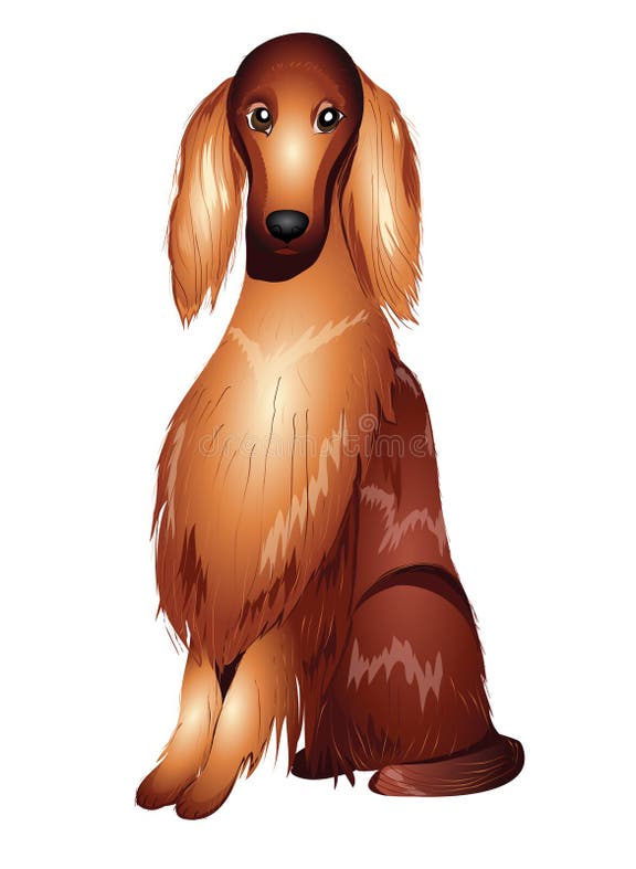 Irish Setter Dog Cartoon Stock Illustrations – 372 Irish Setter Dog ...