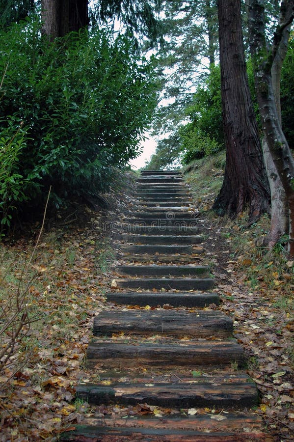 Irish Steps stock photo. Image of europe, forest, nature - 1082442